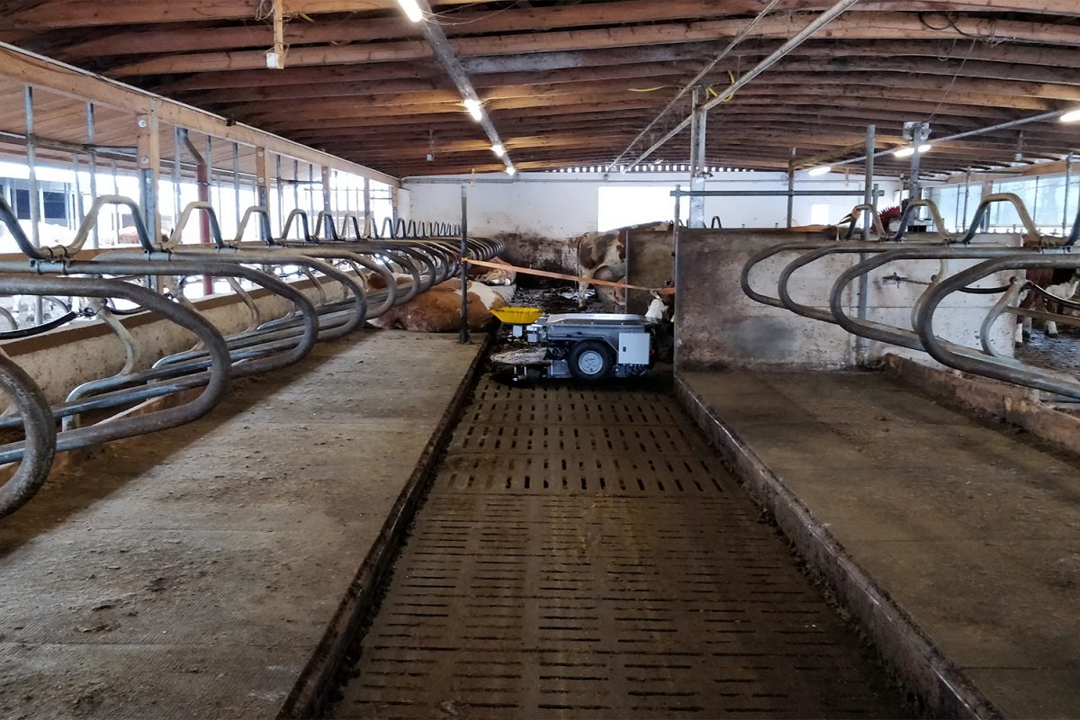 Bild des Monats: Entmistungsroboter MultiRob - TU Braunschweig | Blogs