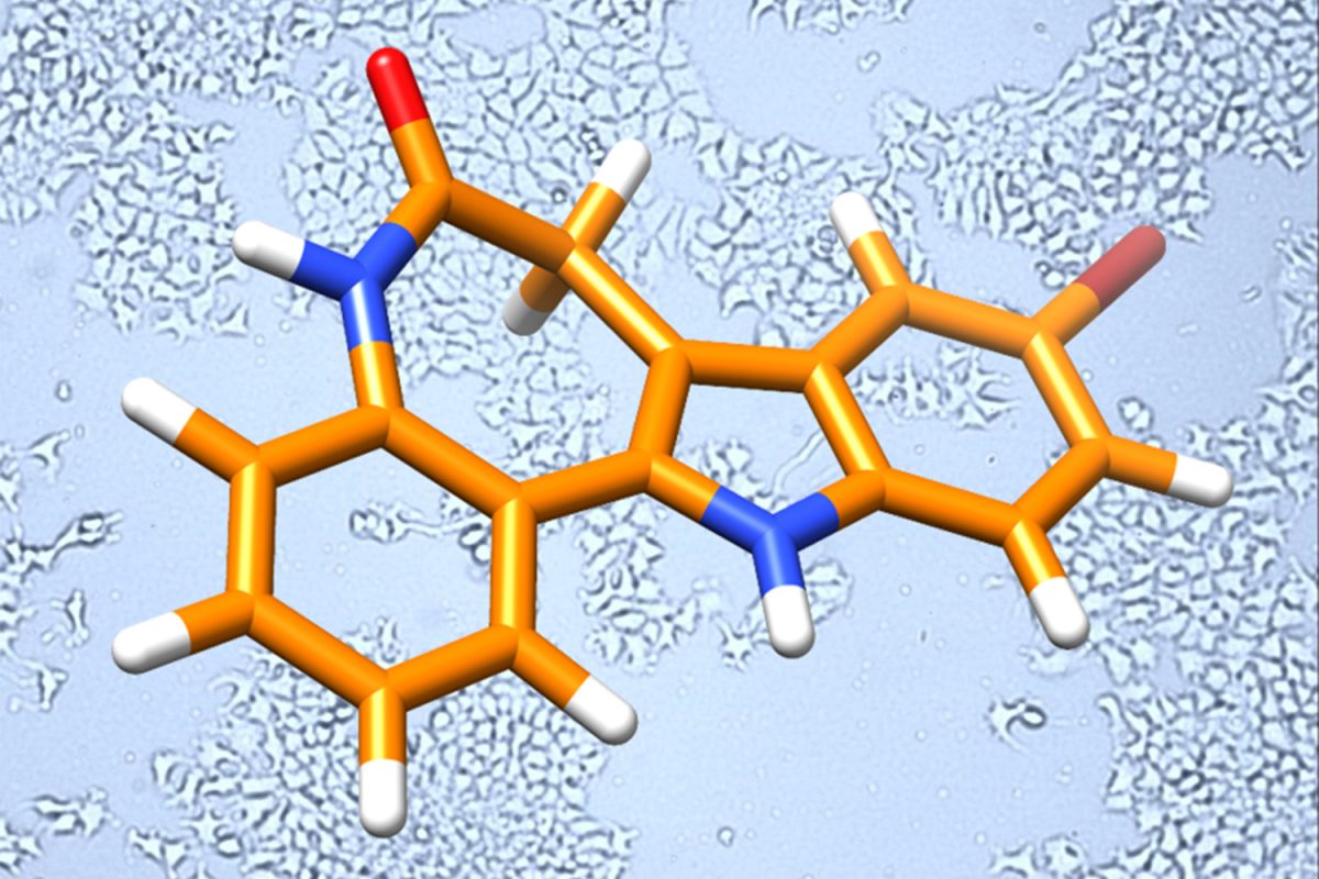 Synergieeffekte in der Chemotherapie untersucht - TU Braunschweig | Blogs