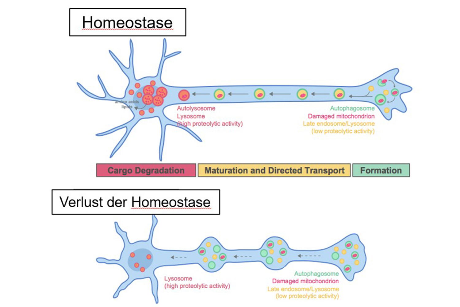 Aus dem Gleichgewicht gebracht - TU Braunschweig | Blogs