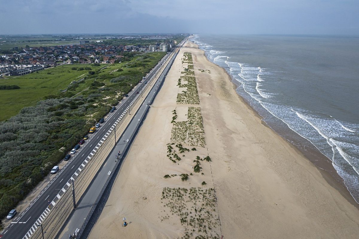 Coastal Protection in a Changing Climate: Innovative Dune-Dike Solutions - TU Braunschweig | Blogs