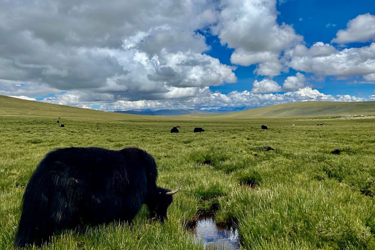 Wird der Dritte Pol wirklich grüner? - TU Braunschweig | Blogs